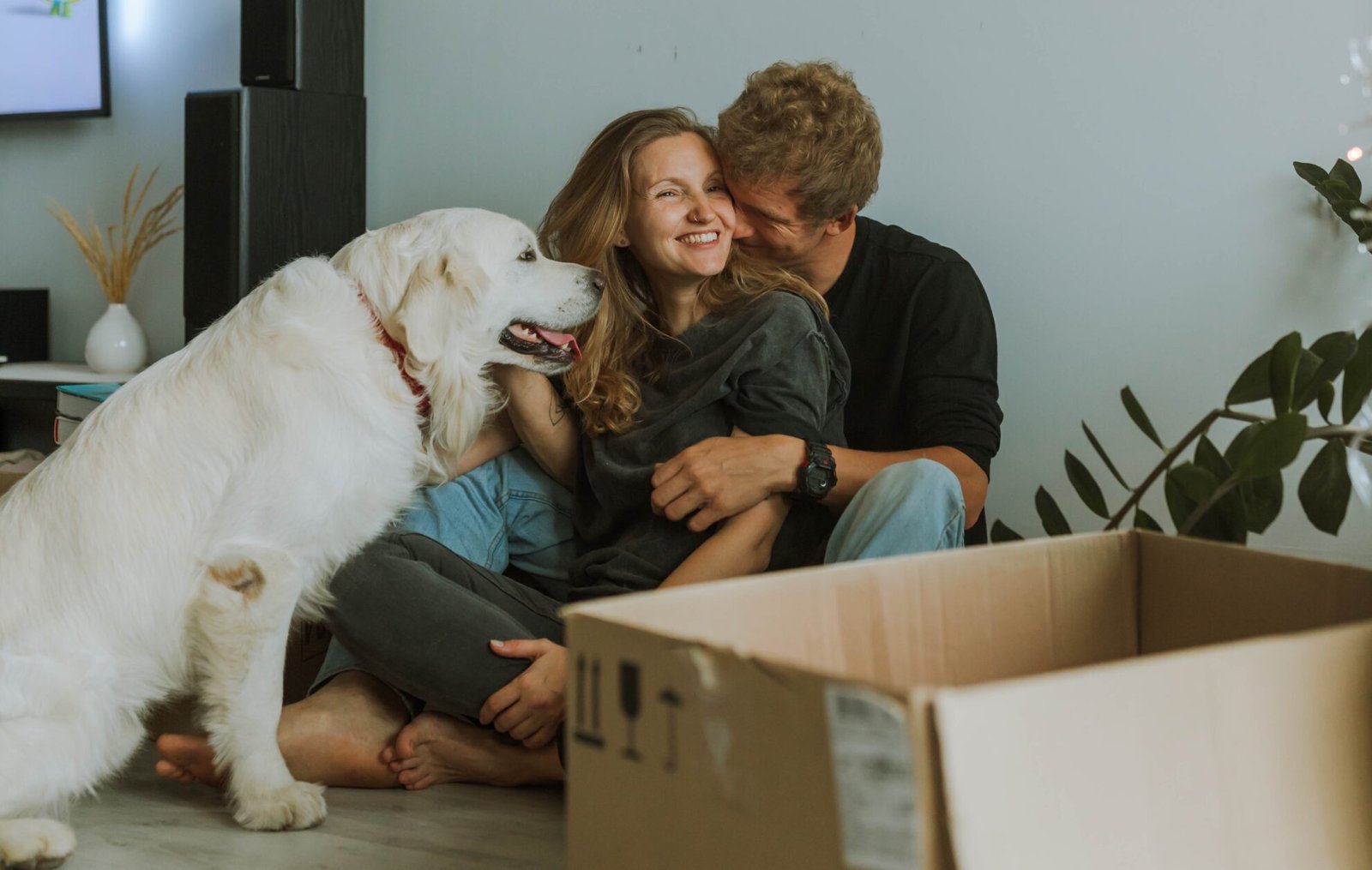 The Comprehensive Guide to Pookie: Meaning, Origins, and Usage | Neon Music